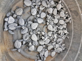 Isolana Fashion Jewelry Store – Isolana.co